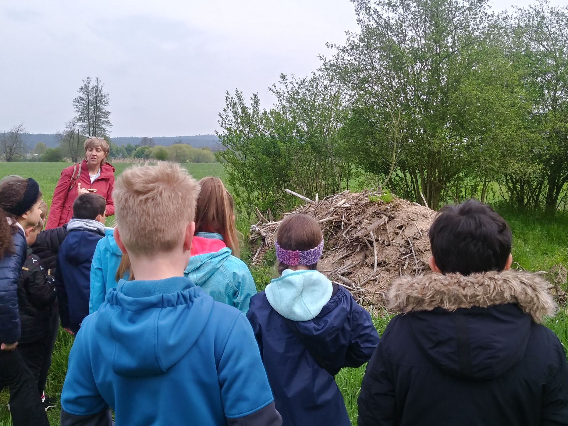 Dem Biber auf der Spur – Grundschule am Schlossberg Regenstauf